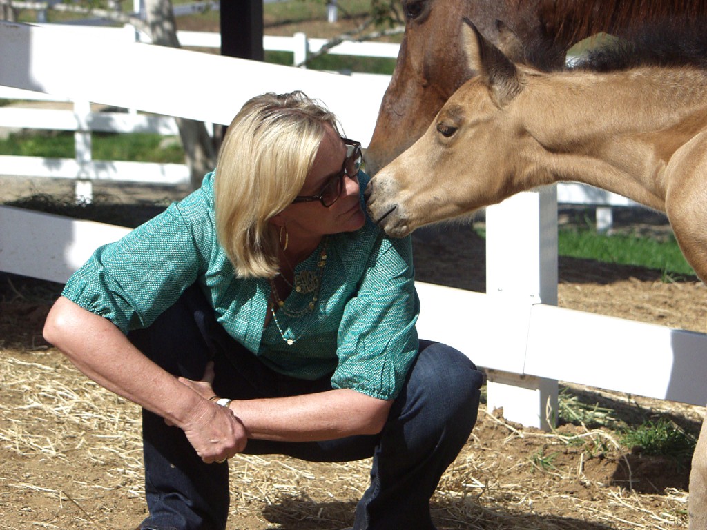 About | Booth Ranches Horse Division